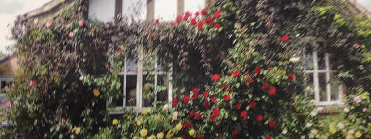 Fox Haven - Seaton Devon