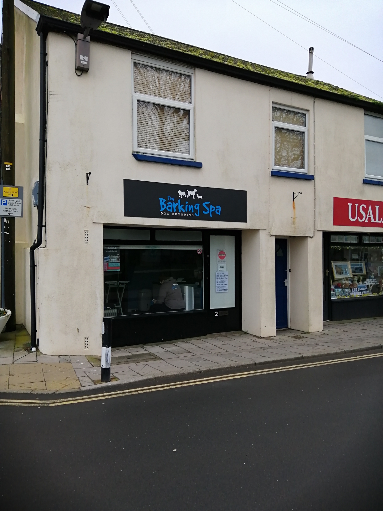 Barking Spa Dogs - Seaton Devon